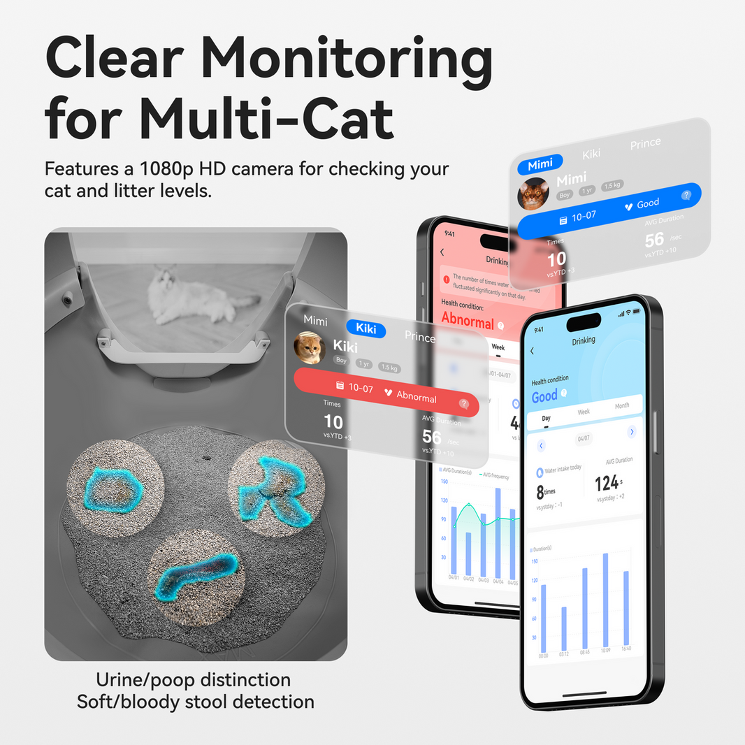 CATLINK Singapore Official