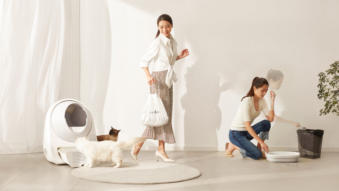 CATLINK Singapore Official
