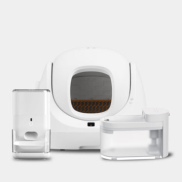 CATLINK Singapore Official